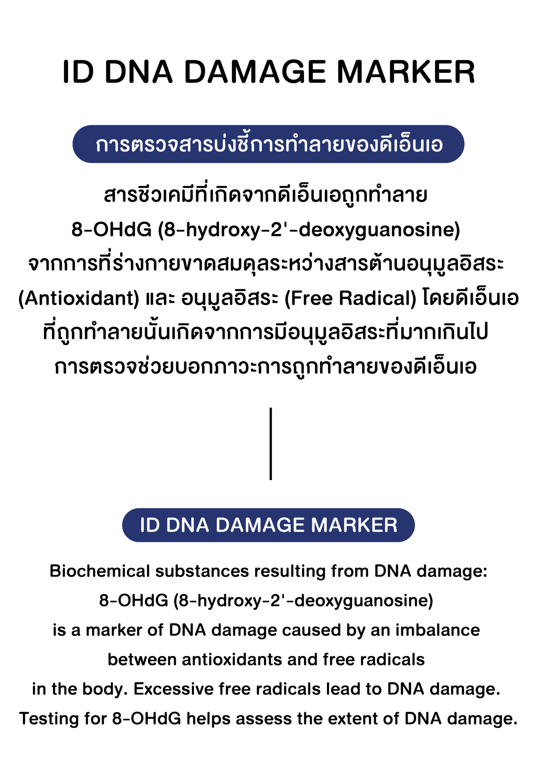 ID DNA DAMAGE MARKER